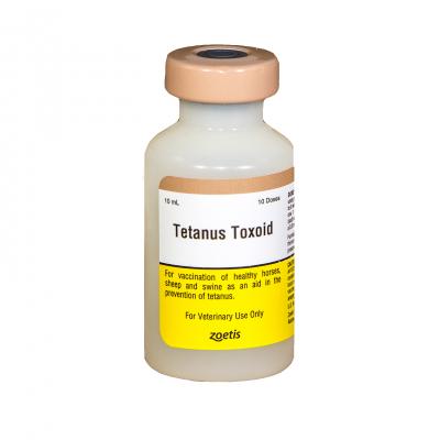 Departments - Tetanus Antitoxin 10 Dose 50 mL